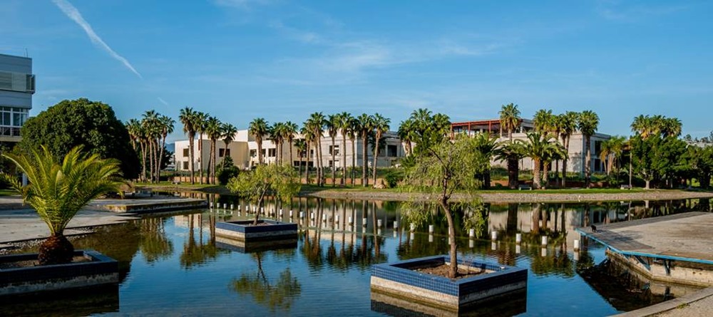 Science and technology park blog from IASP – IASP